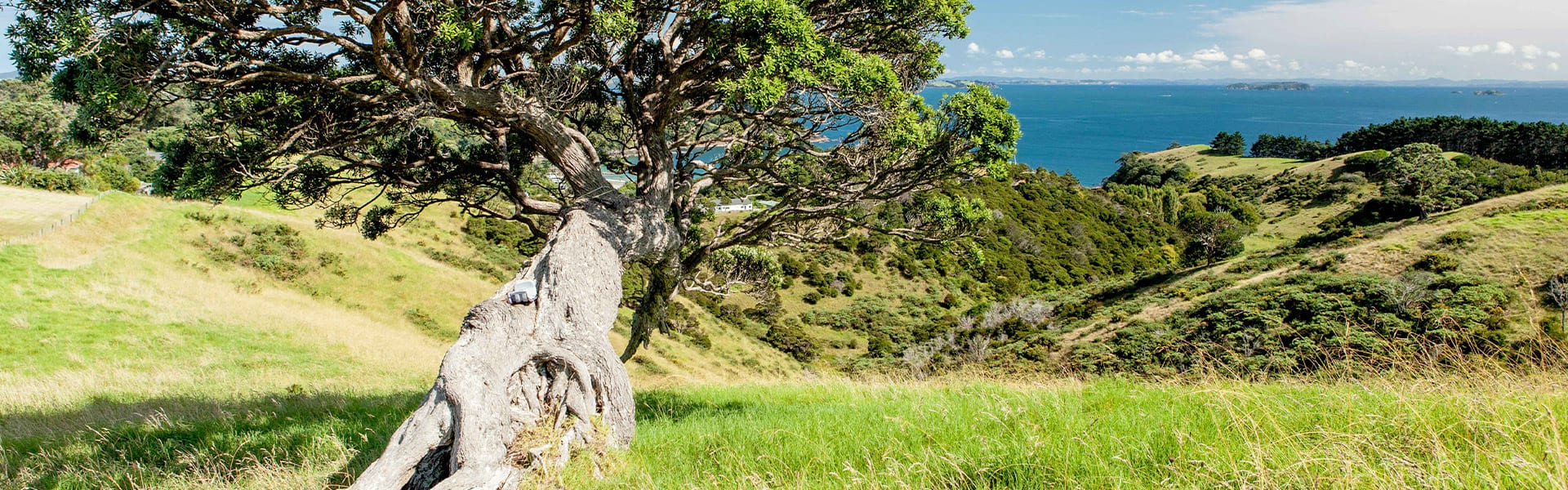 Wawata Estate | Most Exclusive Residential Sections in Waiheke Island ...